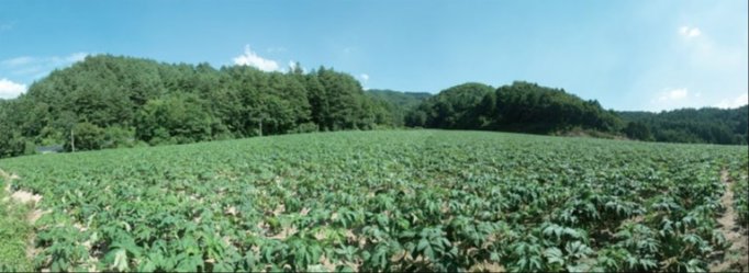 HemoHIM, a new challenge in the health functional food market – Happy life